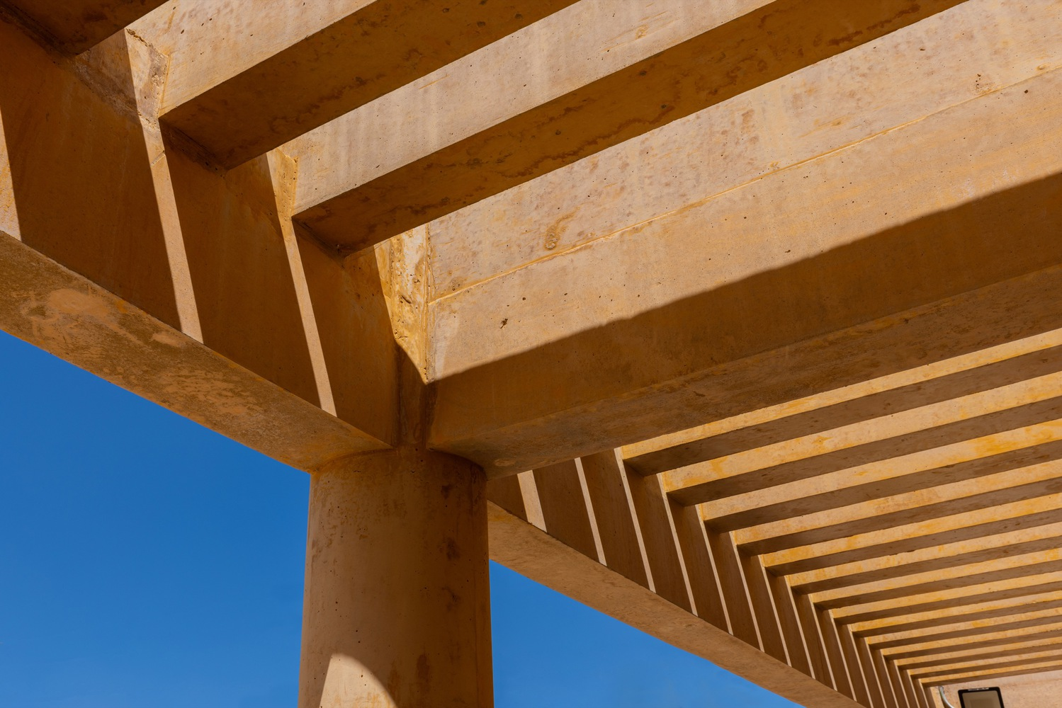 Barrio Tikal Park: A Community-Centered Urban Landscape by Laboratorio ...