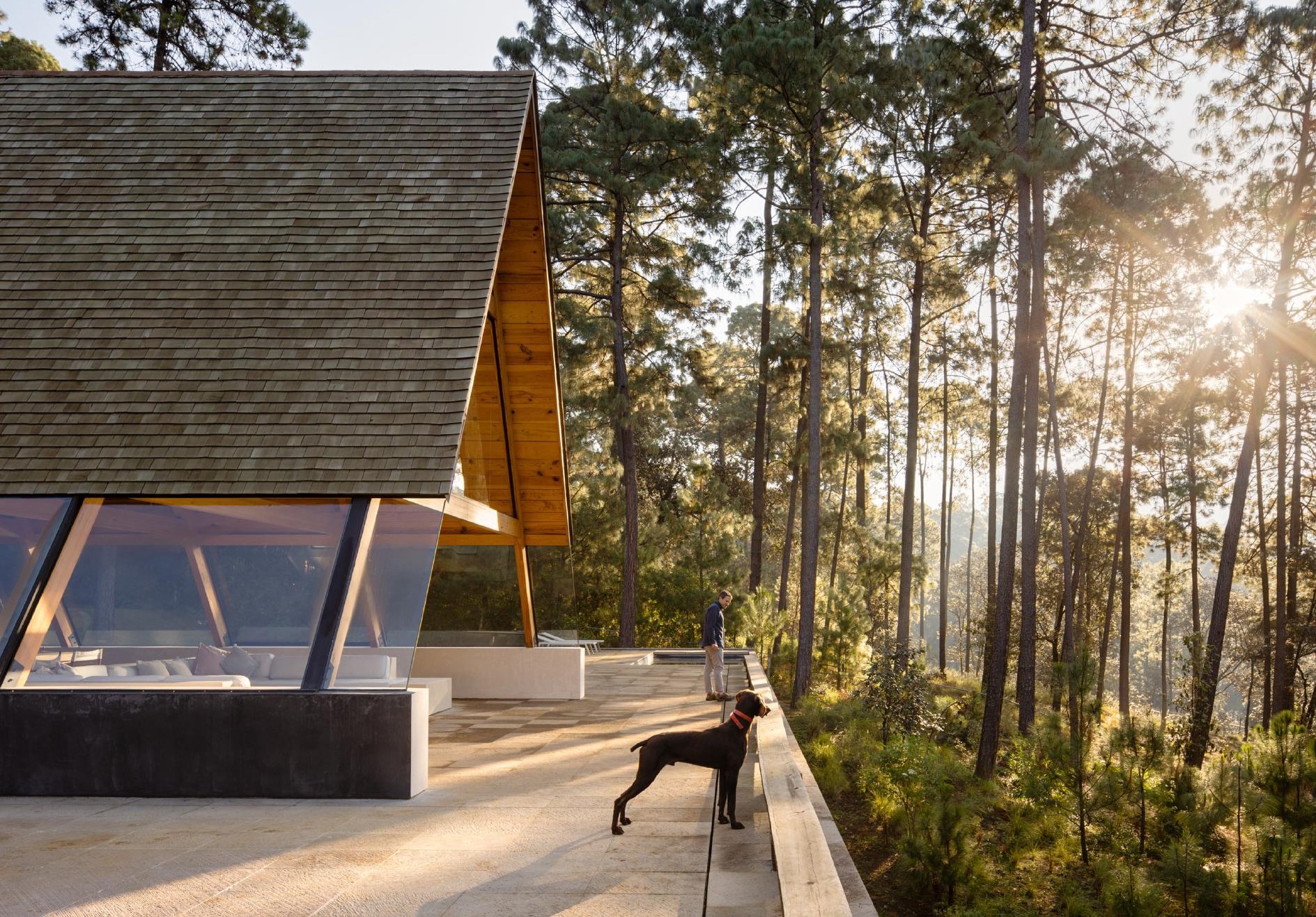 Revitalizing Spaces with Vibrant Design: Exploring PPAA Pérez Palacios ...