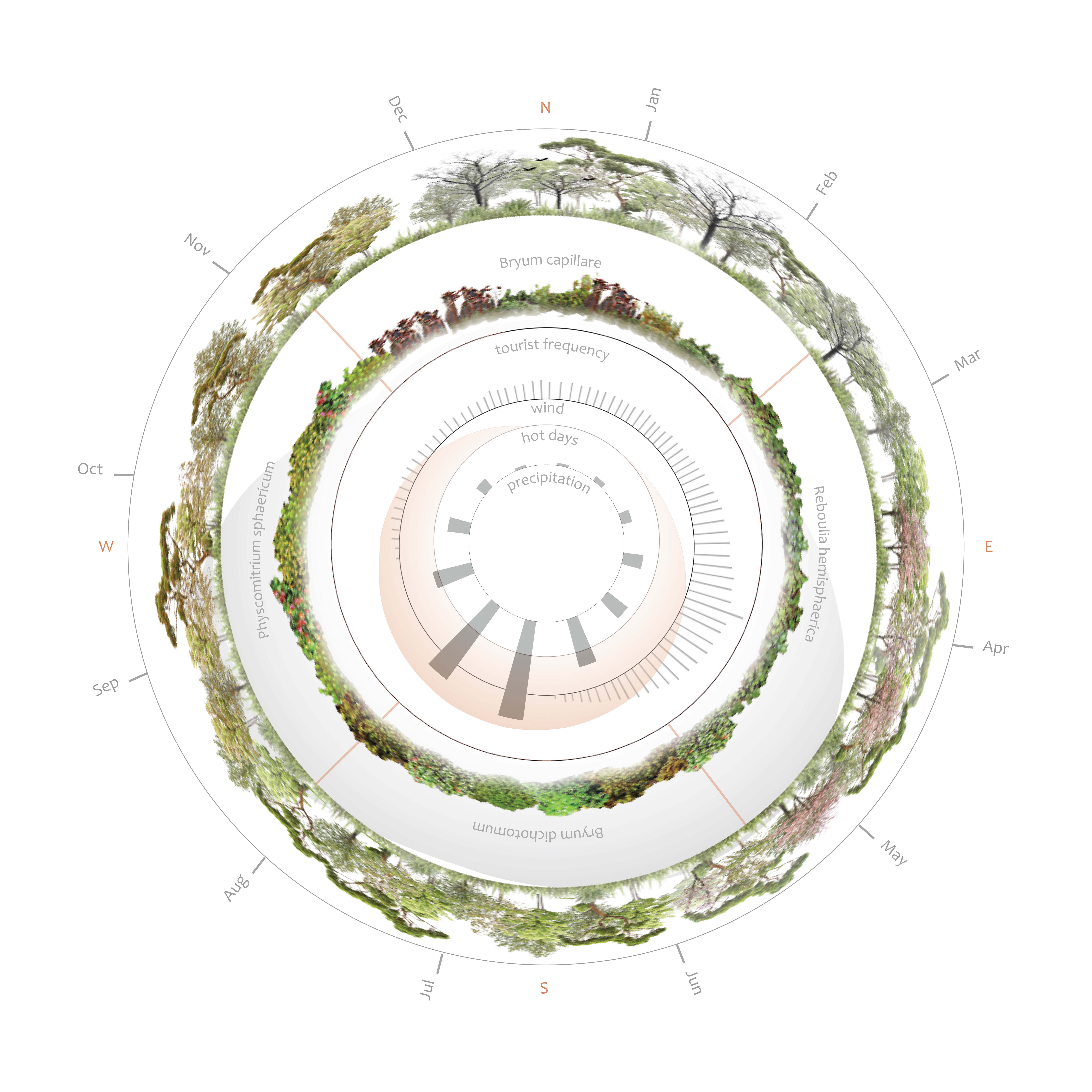 INTROVERSE | Architecture Design Process