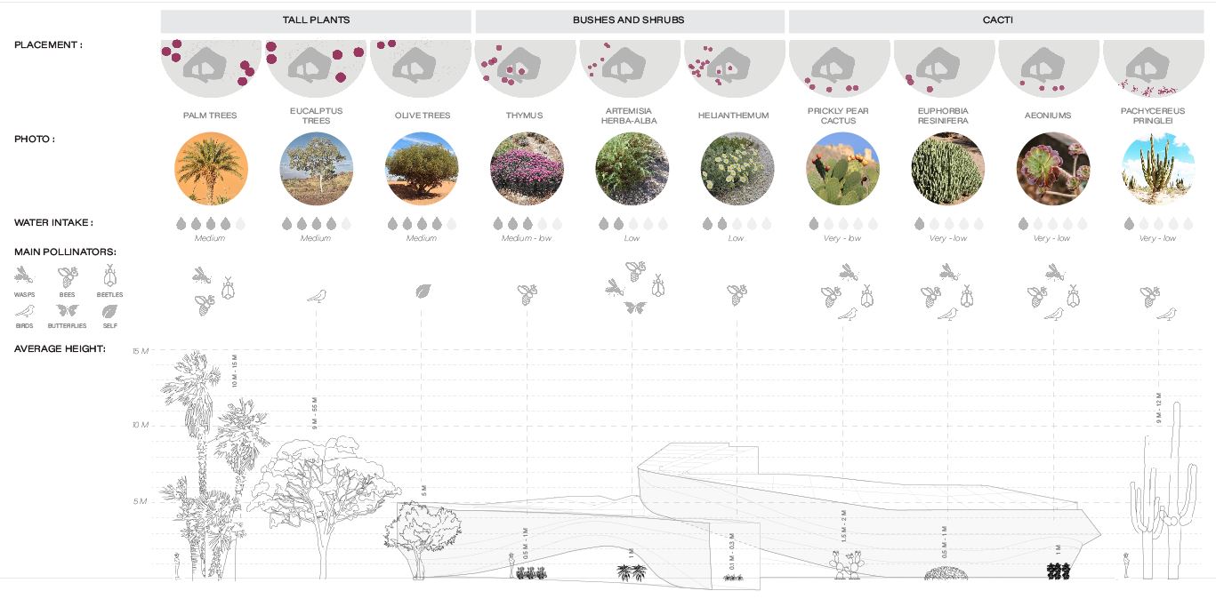 ECHO | Architecture Design Process