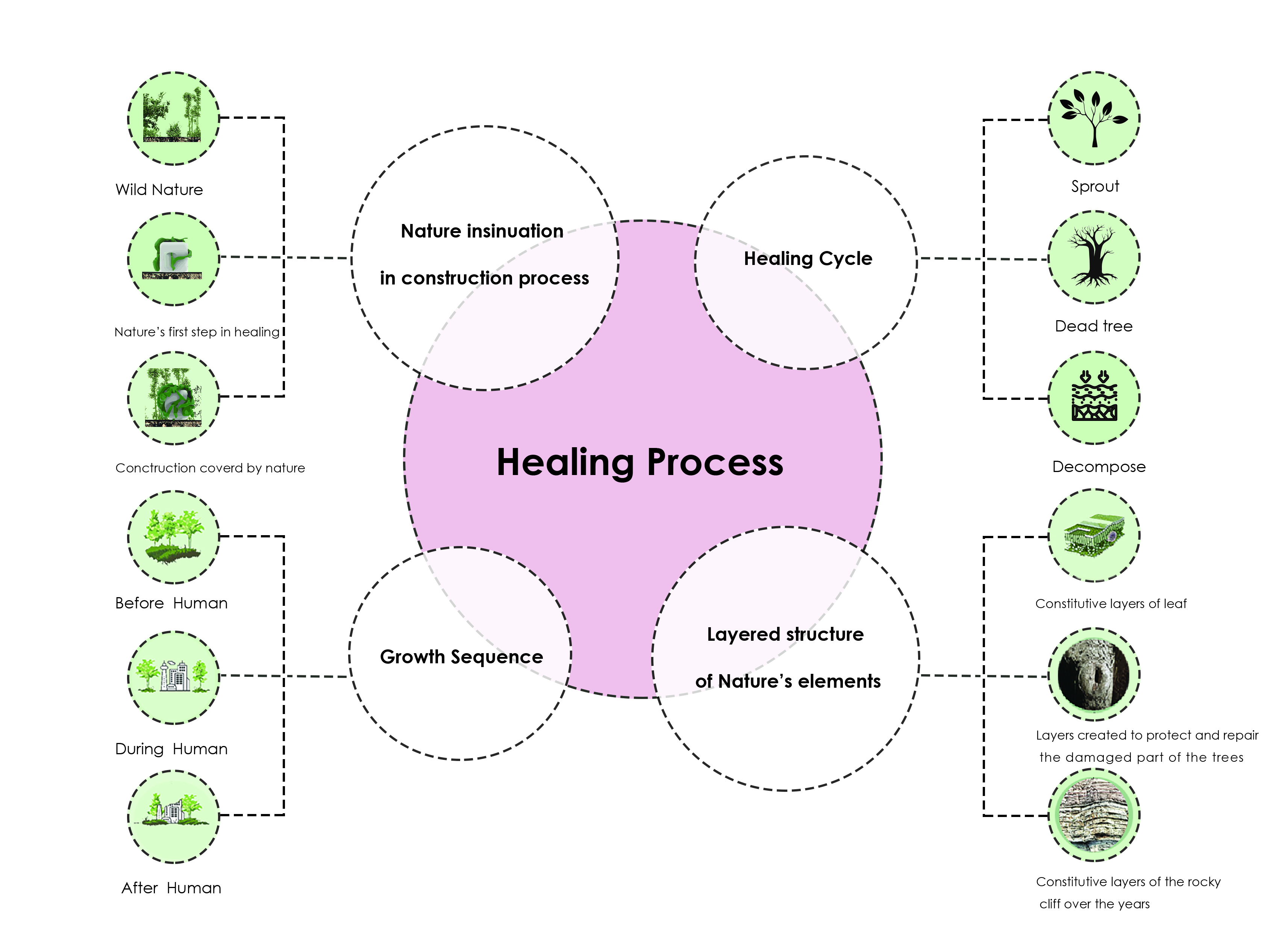 REGENERATION | Architecture Story