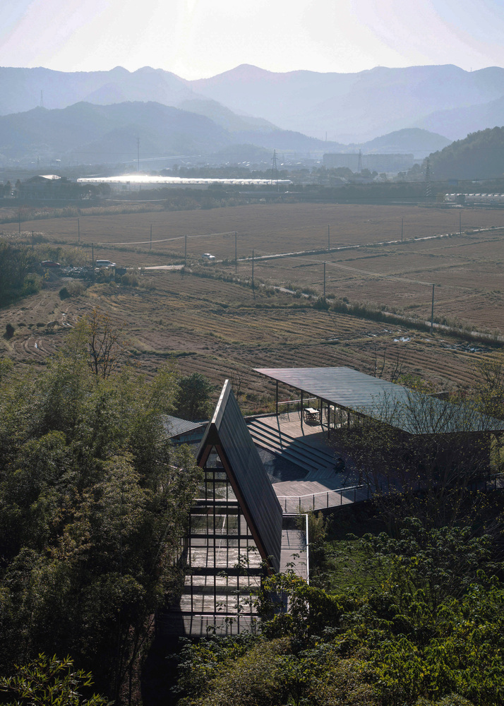Bamboo Forest Eco-Hotel Design: Blending Nature with Architecture at ...