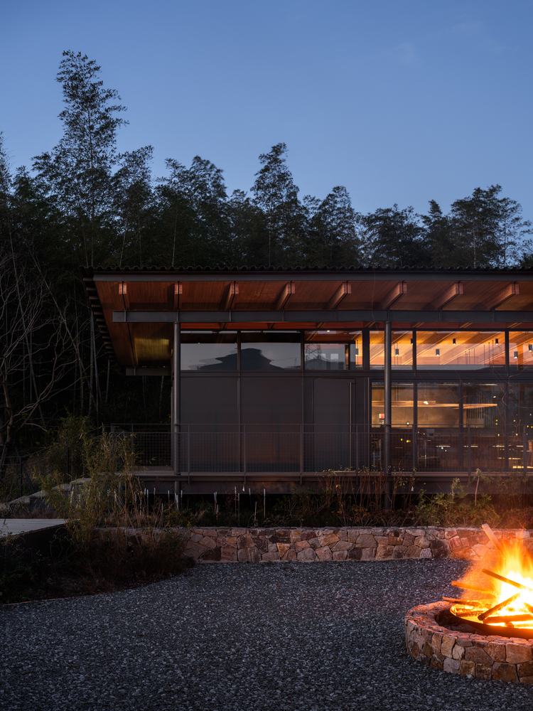 Bamboo Forest Eco-Hotel Design: Blending Nature with Architecture at ...