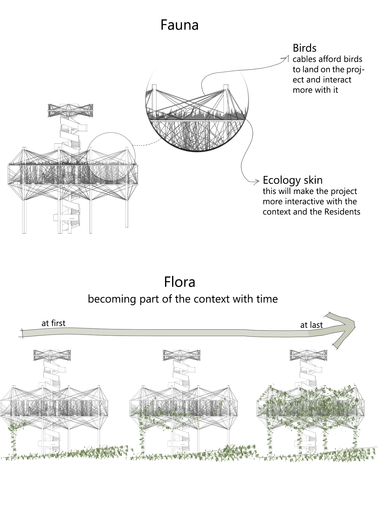 Through the Eyes of Nature | Architecture Design Process