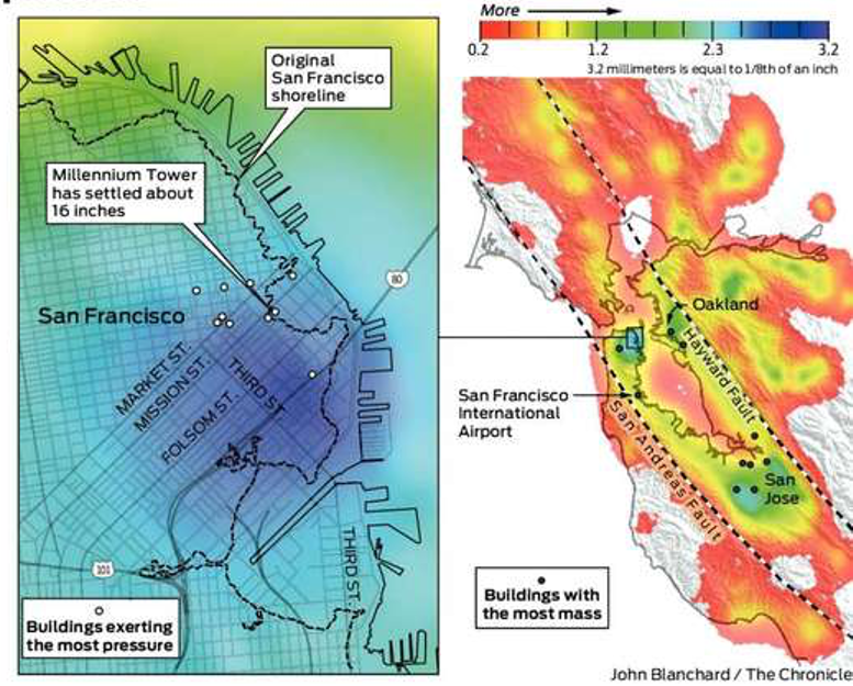 Whale Fall | Landscape Design Story