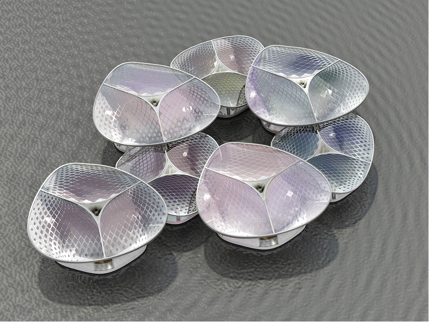 Whale Fall | Landscape Design Story