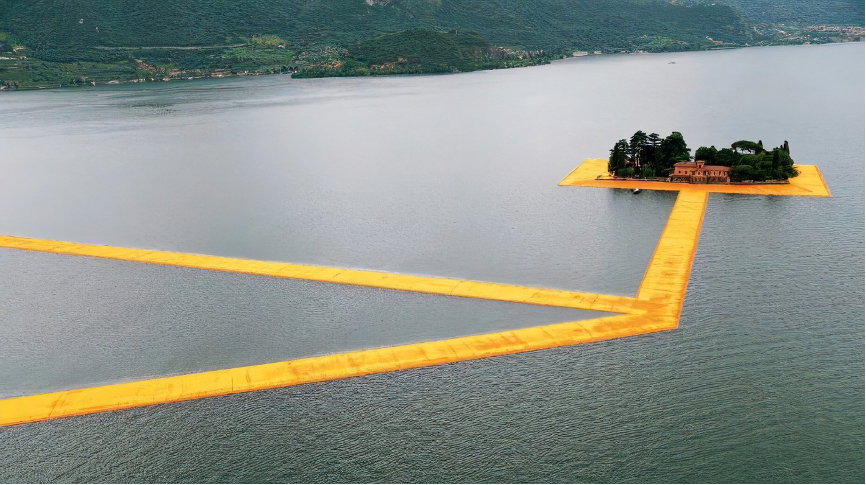 Whale Fall | Landscape Design Story