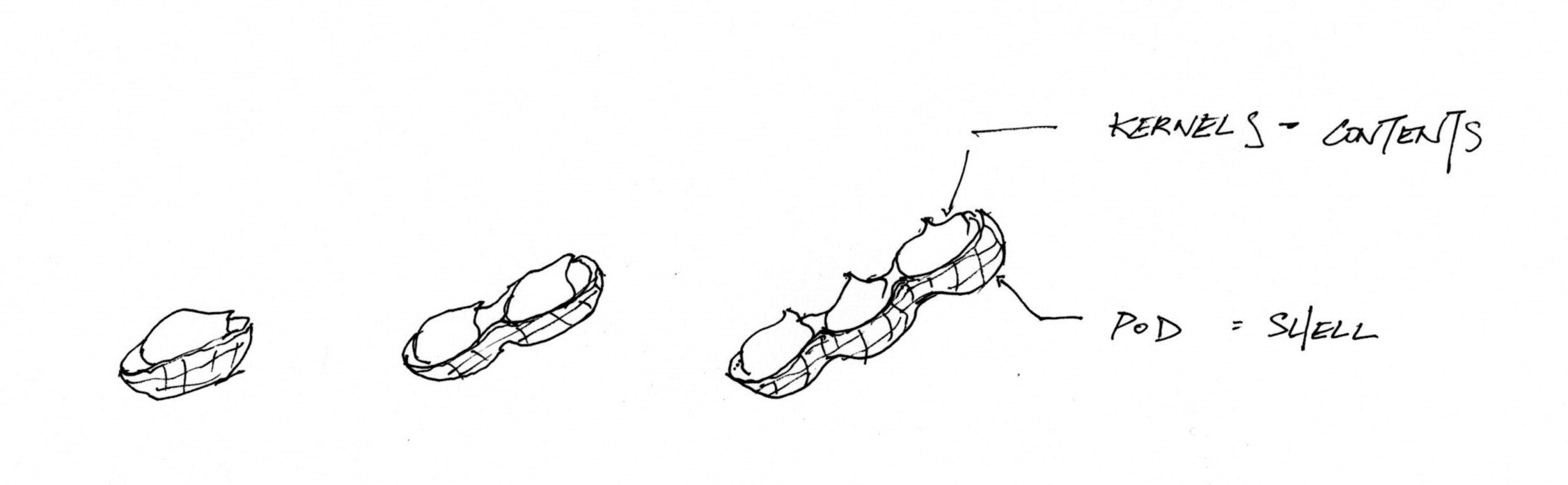 Metatopia Playground | Landscape Design Story