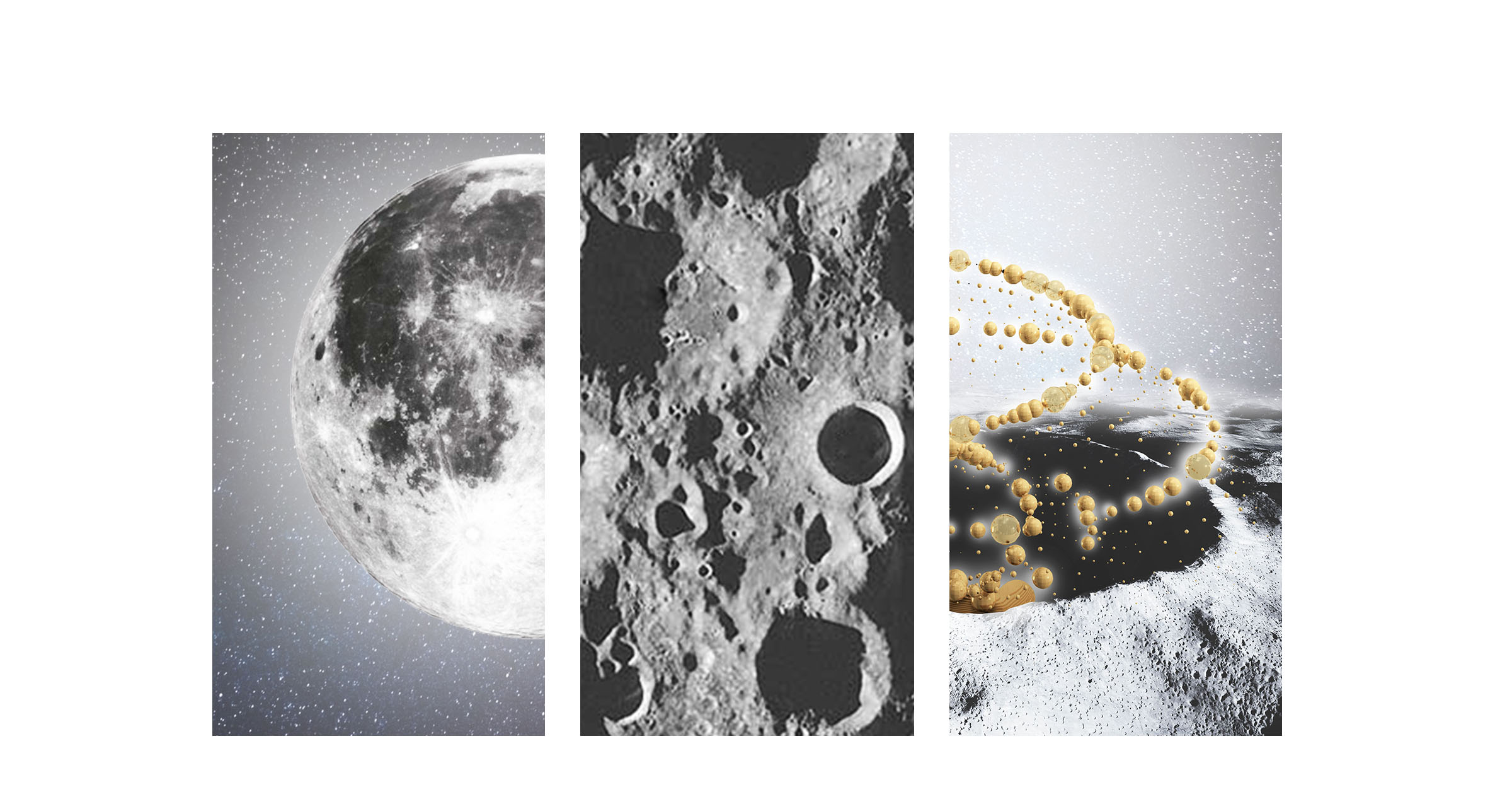 What will be living on the Moon in the future look like in the 100th ...