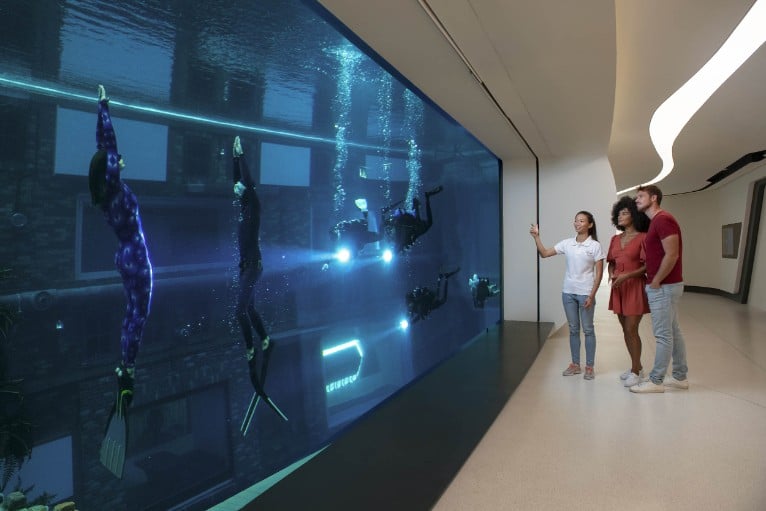 Explore a New World Beneath the Waves: Experience the Wonders of Deep ...