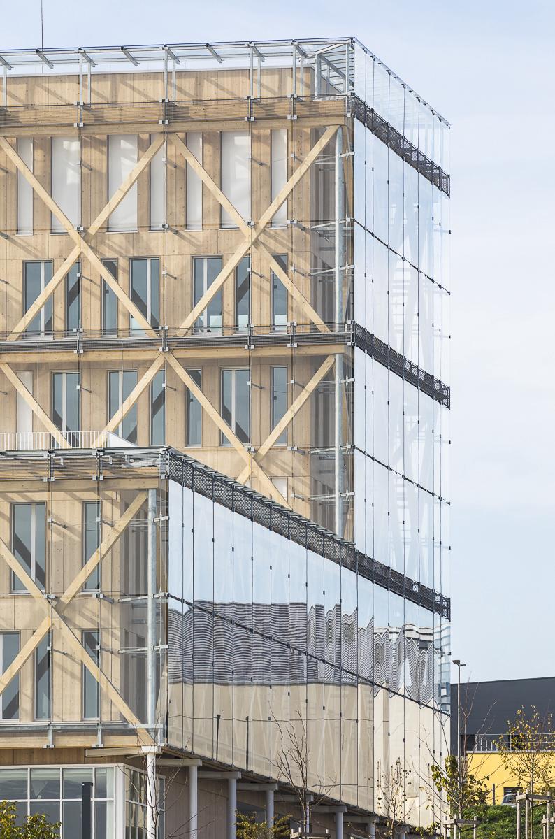 Transforming Rural Communities: The Power of Grassroots Initiatives ...