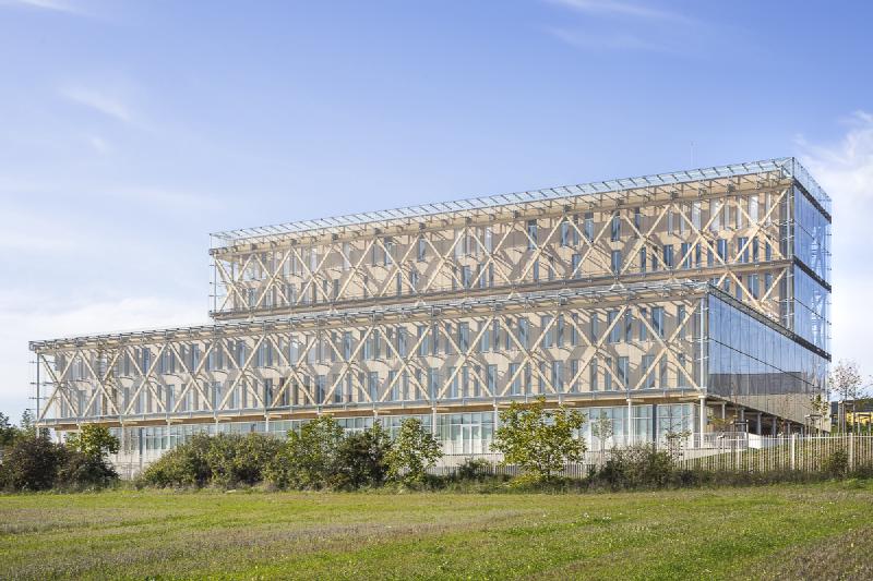 Transforming Rural Communities: The Power of Grassroots Initiatives ...