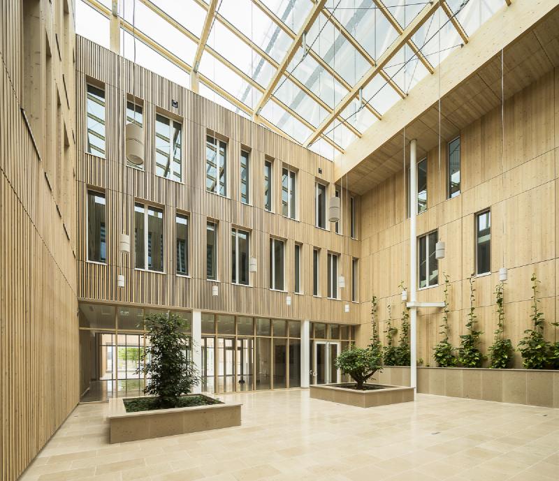 Transforming Rural Communities: The Power of Grassroots Initiatives ...