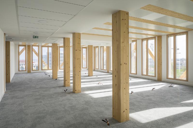 Transforming Rural Communities: The Power of Grassroots Initiatives ...