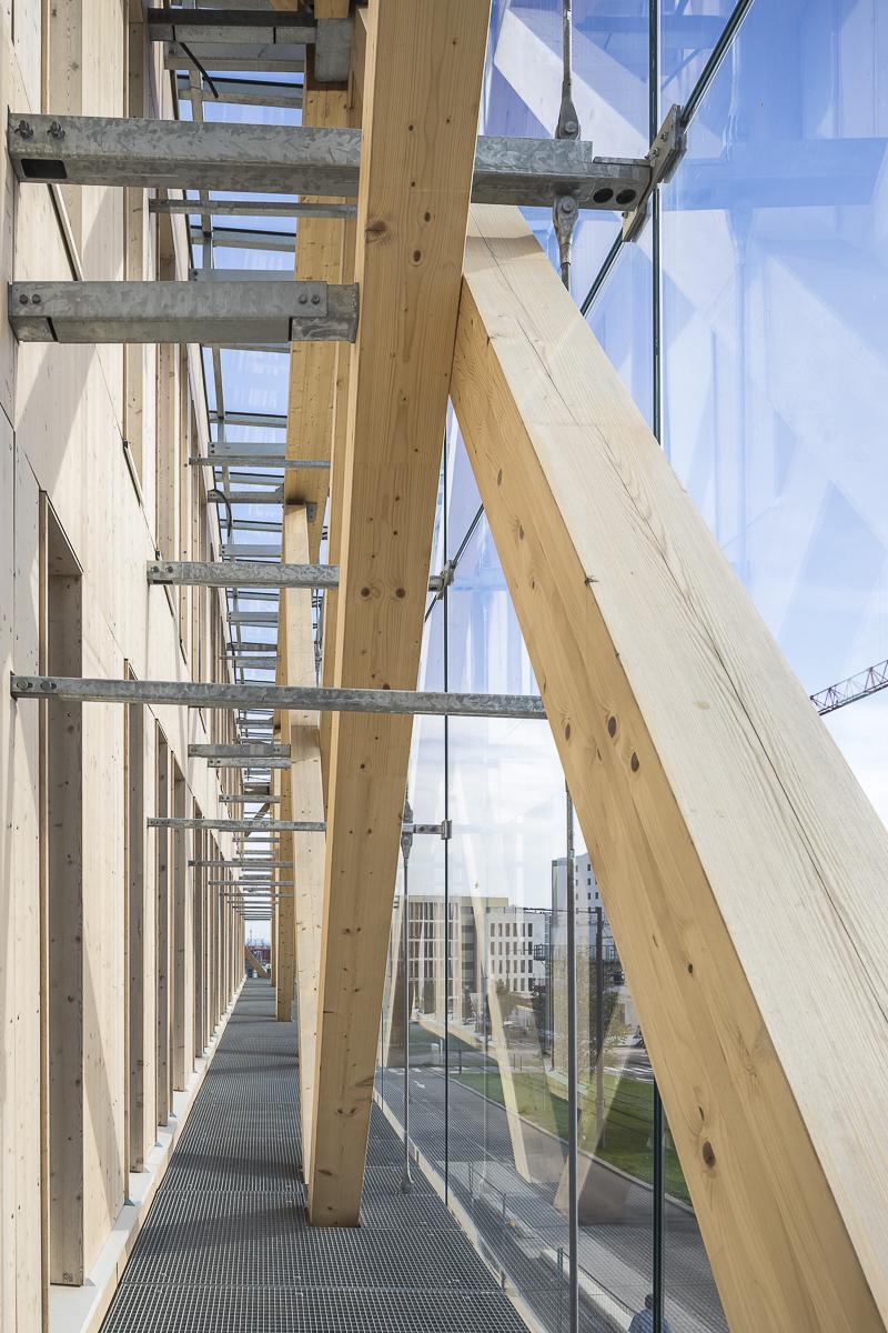 Transforming Rural Communities: The Power of Grassroots Initiatives ...