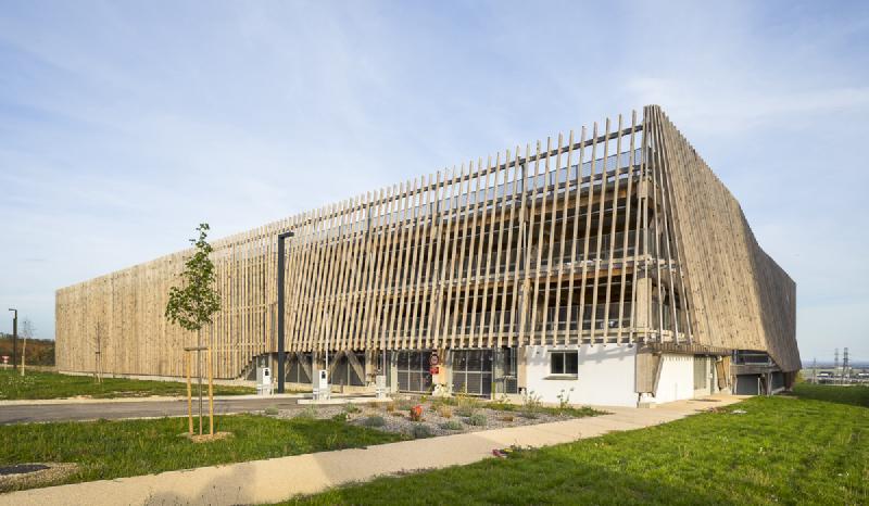 Transforming Rural Communities: The Power of Grassroots Initiatives ...