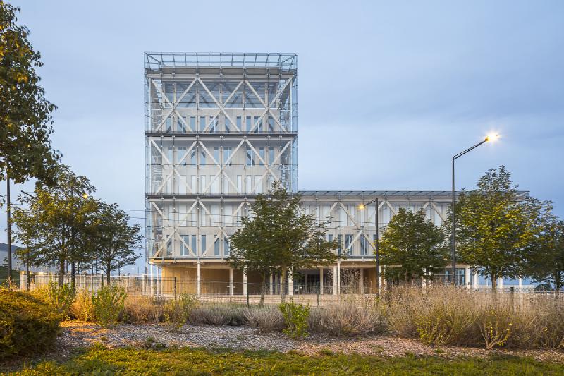 Transforming Rural Communities: The Power of Grassroots Initiatives ...