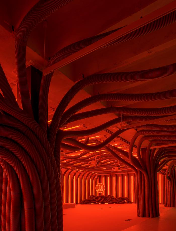 PAREID's Enigmatic Architecture: Blurring the Boundaries Between ...