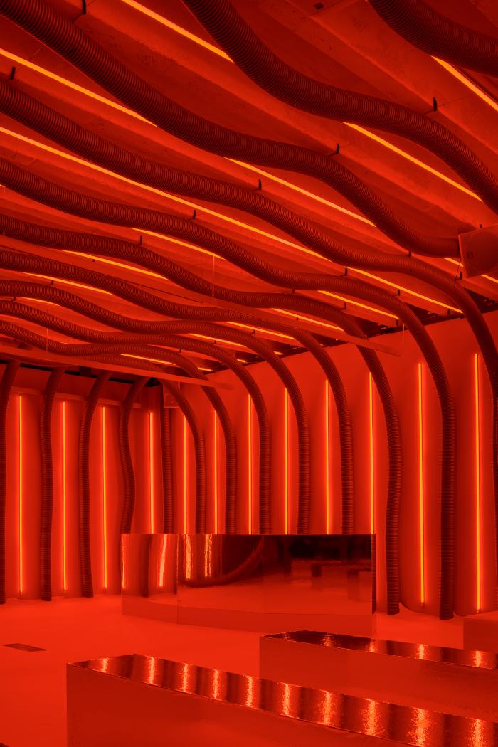 PAREID's Enigmatic Architecture: Blurring the Boundaries Between ...