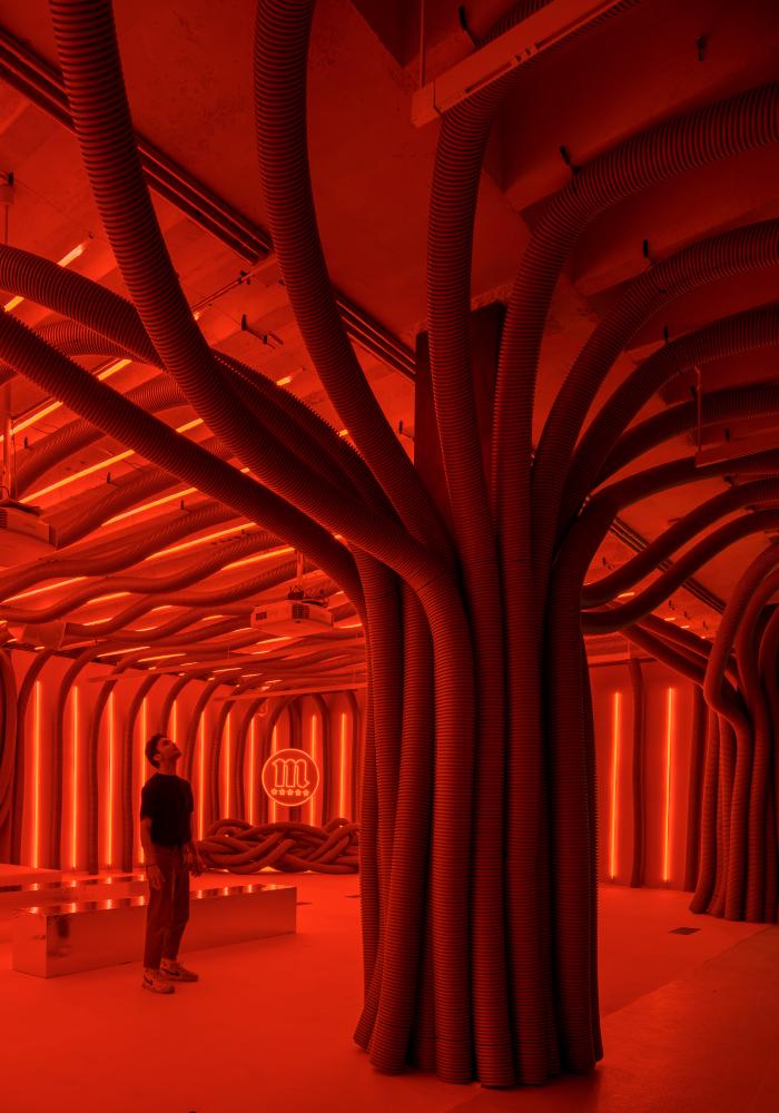 PAREID's Enigmatic Architecture: Blurring the Boundaries Between ...