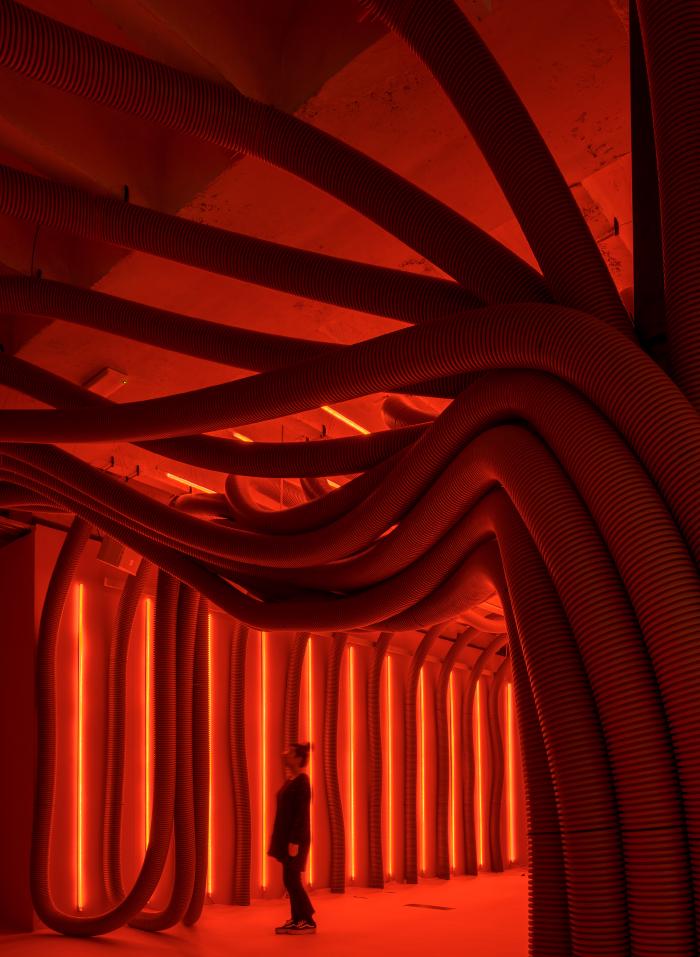 PAREID's Enigmatic Architecture: Blurring the Boundaries Between ...