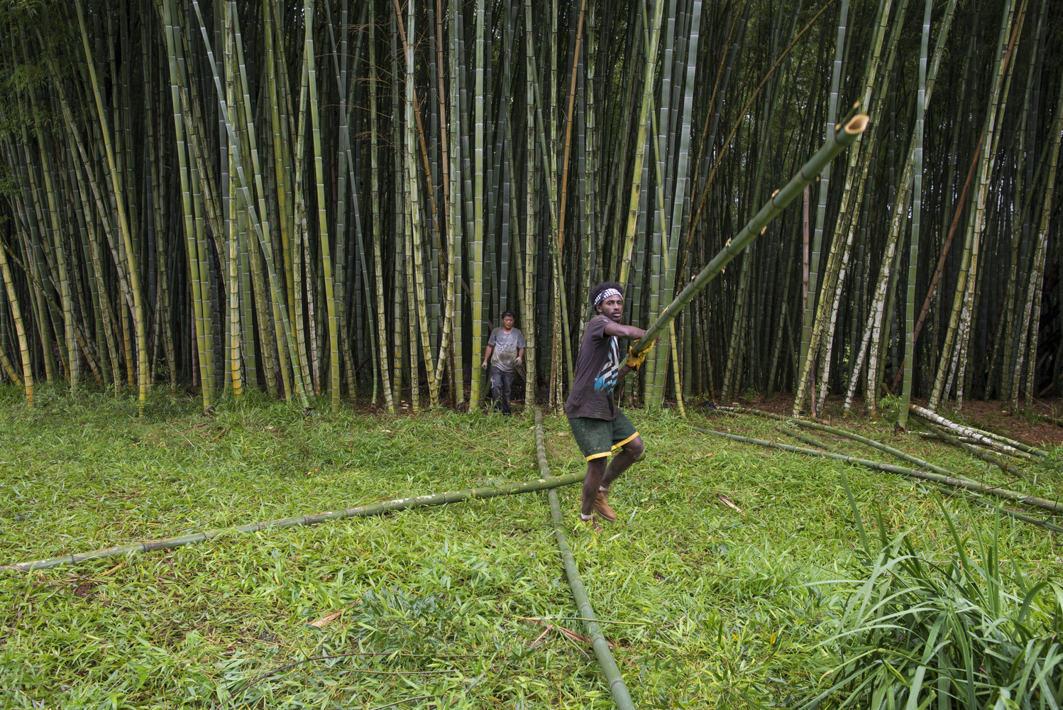 Architects Unite for Building Resilient Communities: Highlights from ...