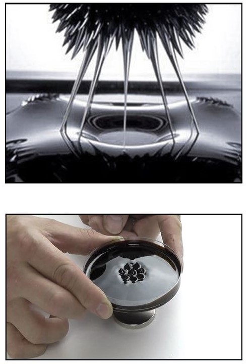 Fluid Spaces: The Architectural Symphony of Responsiveness and ...