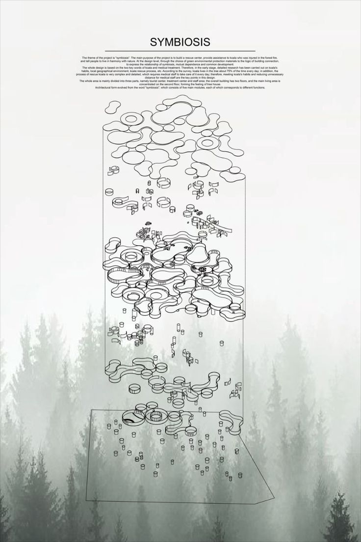 The Evolution of Architecture Competitions: From Historical Beginnings ...