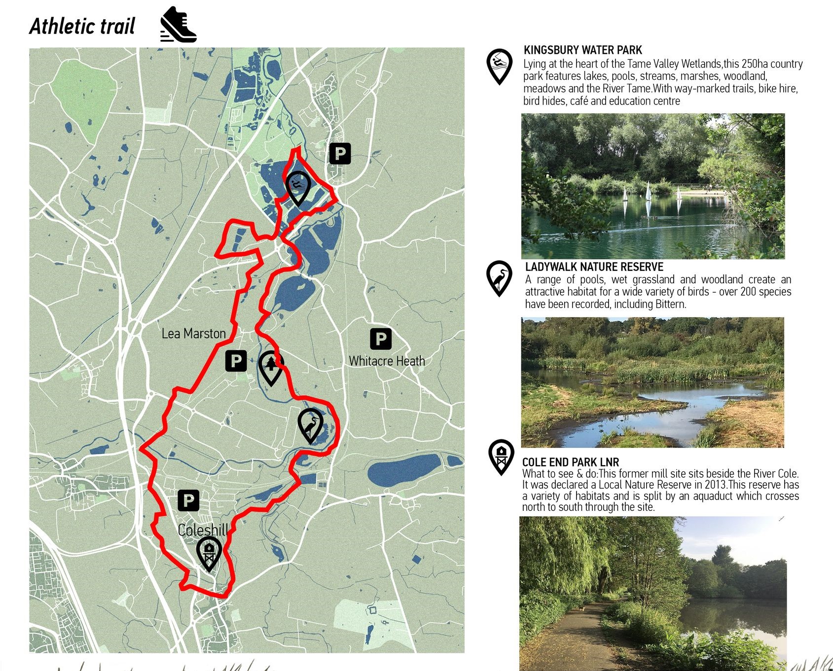 Exploring the Splendor of Nature: The Wetland Loop Trails | Sports ...