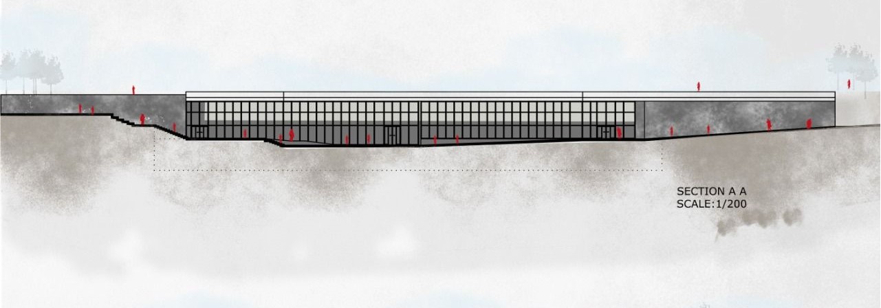 Innovative Geology Museum Design: Merging Earth Science with ...