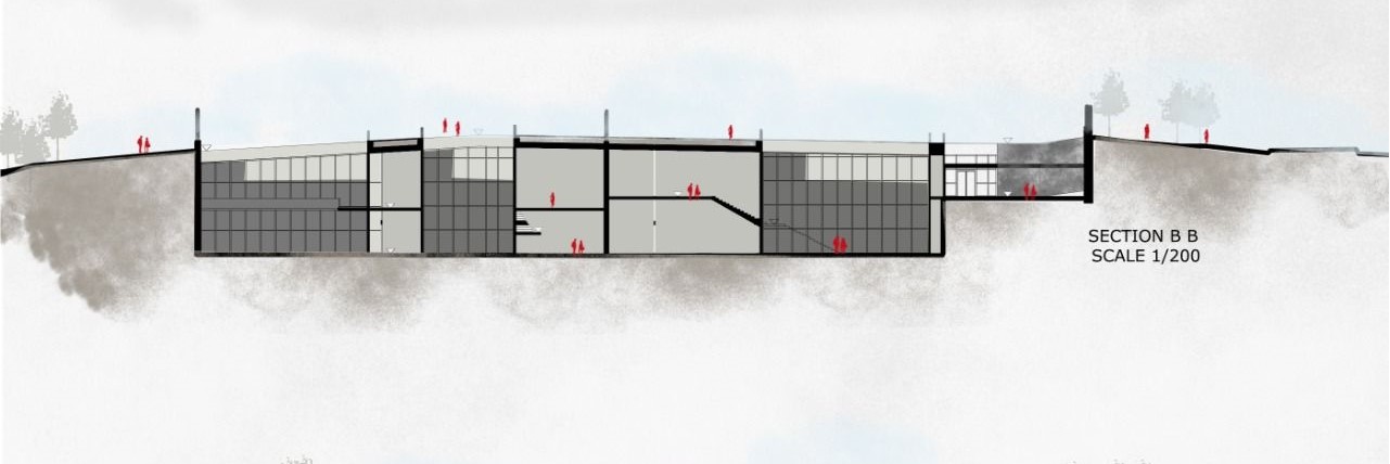 Innovative Geology Museum Design: Merging Earth Science with ...