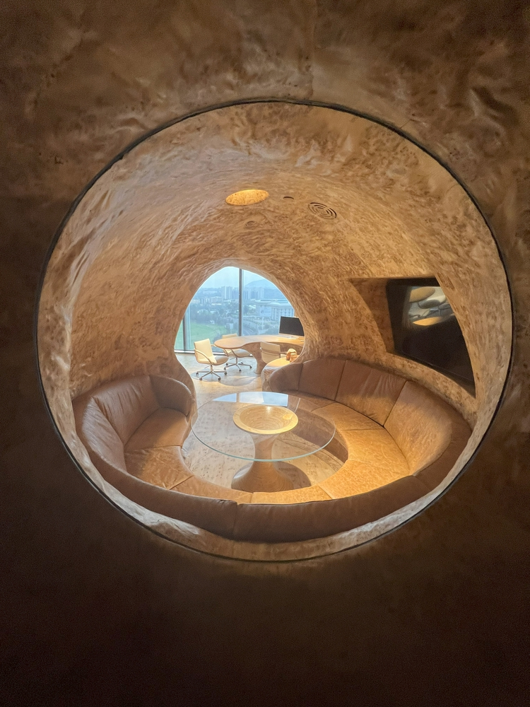 Cave Office: A Pioneering Organic Architecture Office Design by Javier ...