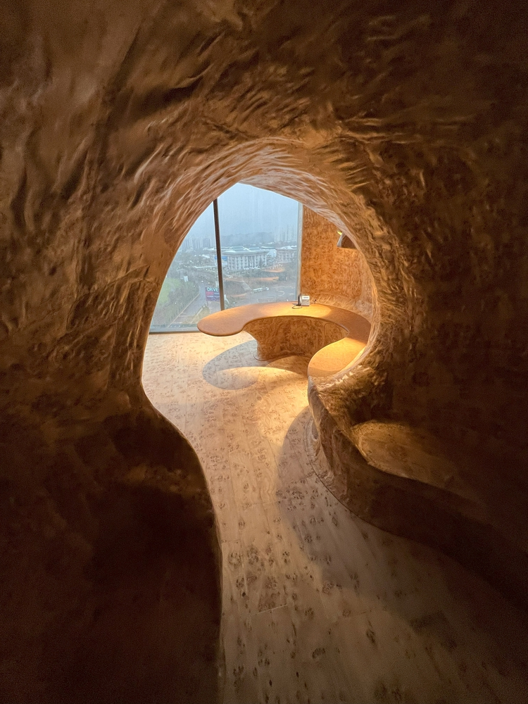 Cave Office: A Pioneering Organic Architecture Office Design by Javier ...