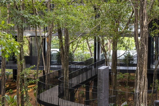 Mimetic Architecture: Blending Design with Nature at Casa Perla Negra ...