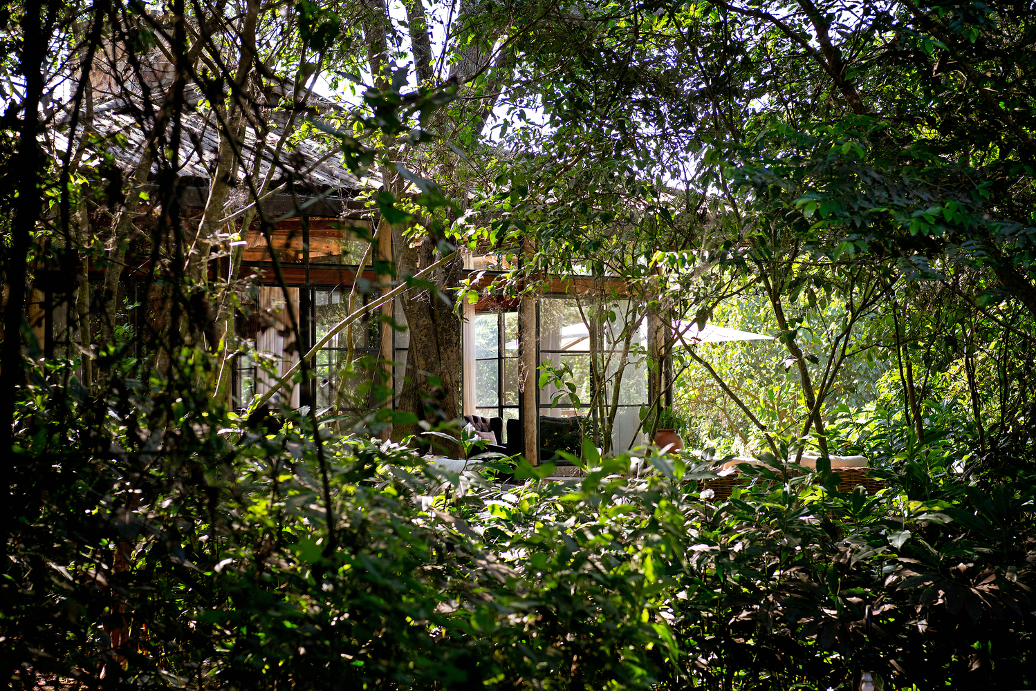 Entebbe Forest Lodge: A Haven of Eco-Friendly Lodge Design in Uganda ...
