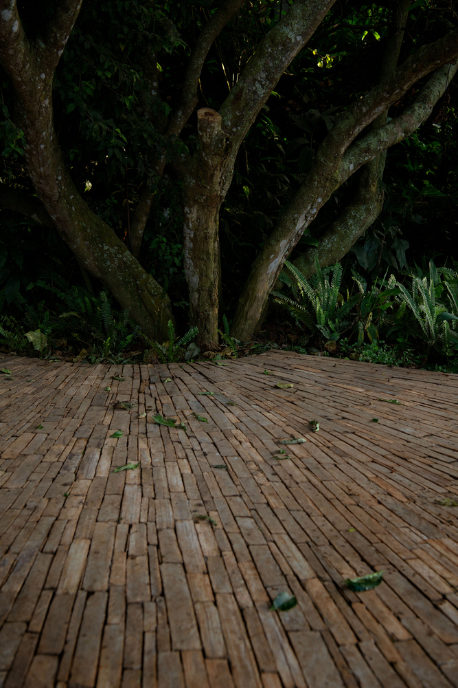 Entebbe Forest Lodge: A Haven of Eco-Friendly Lodge Design in Uganda ...