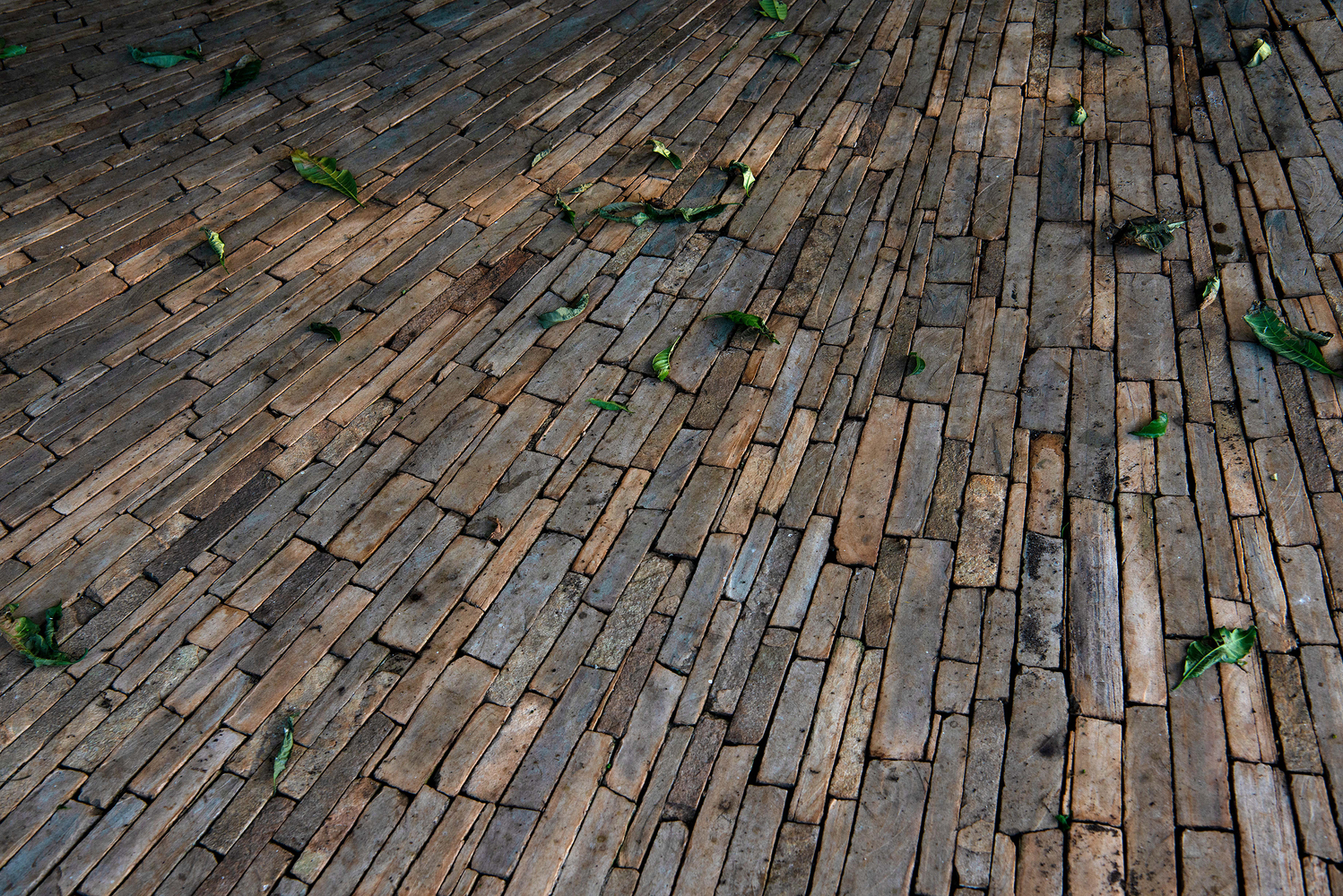 Entebbe Forest Lodge: A Haven of Eco-Friendly Lodge Design in Uganda ...