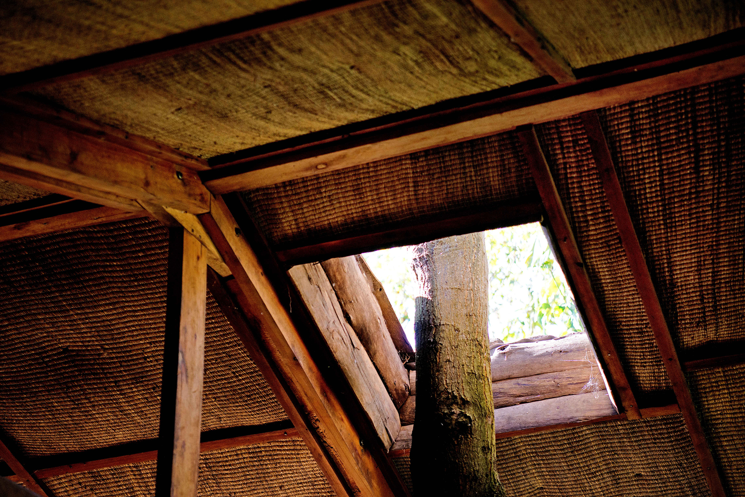 Entebbe Forest Lodge: A Haven of Eco-Friendly Lodge Design in Uganda ...