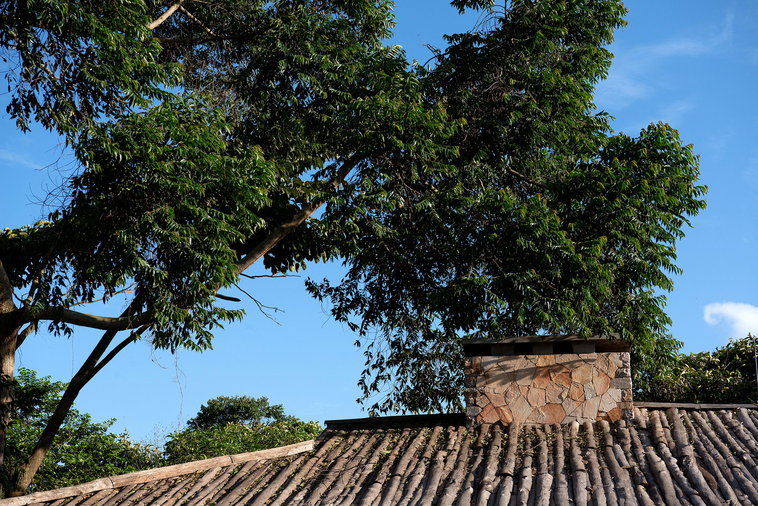 Entebbe Forest Lodge: A Haven of Eco-Friendly Lodge Design in Uganda ...