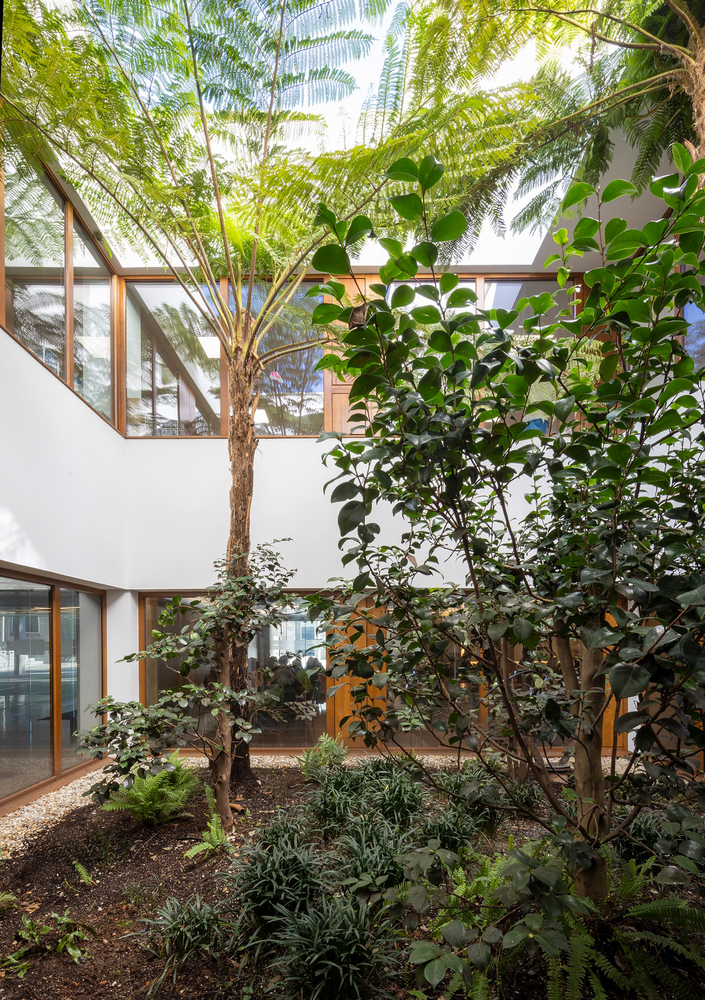 Sustainable Building Renovation in Spain: A Closer Look at the Espellos ...