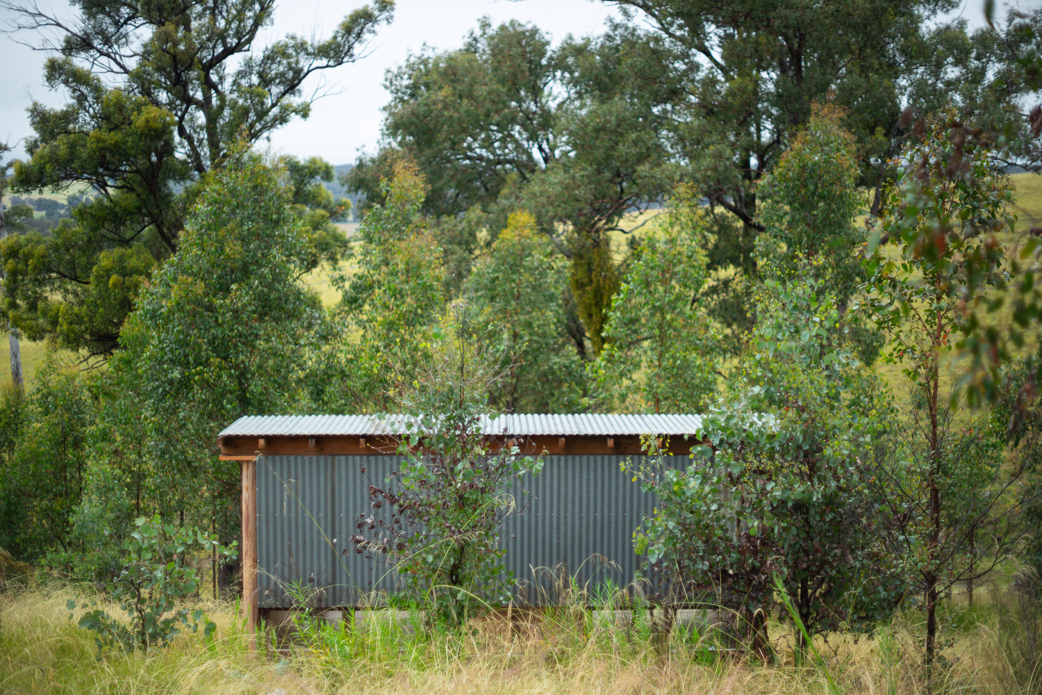 Rebirth and Renewal: Exploring Eco-Friendly Library Design in Sarsfield ...