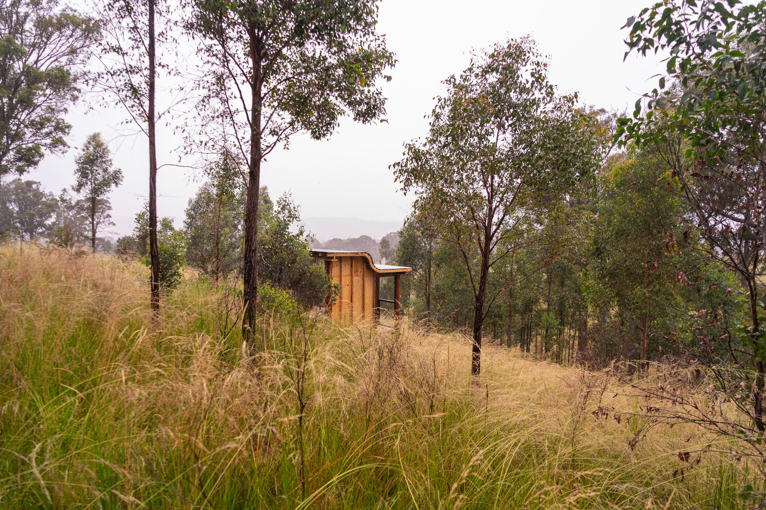 Rebirth and Renewal: Exploring Eco-Friendly Library Design in Sarsfield ...