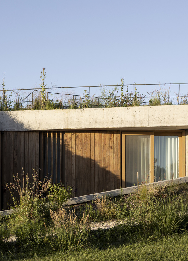 Coastal Dune House Design: Integrating Architecture with Nature ...