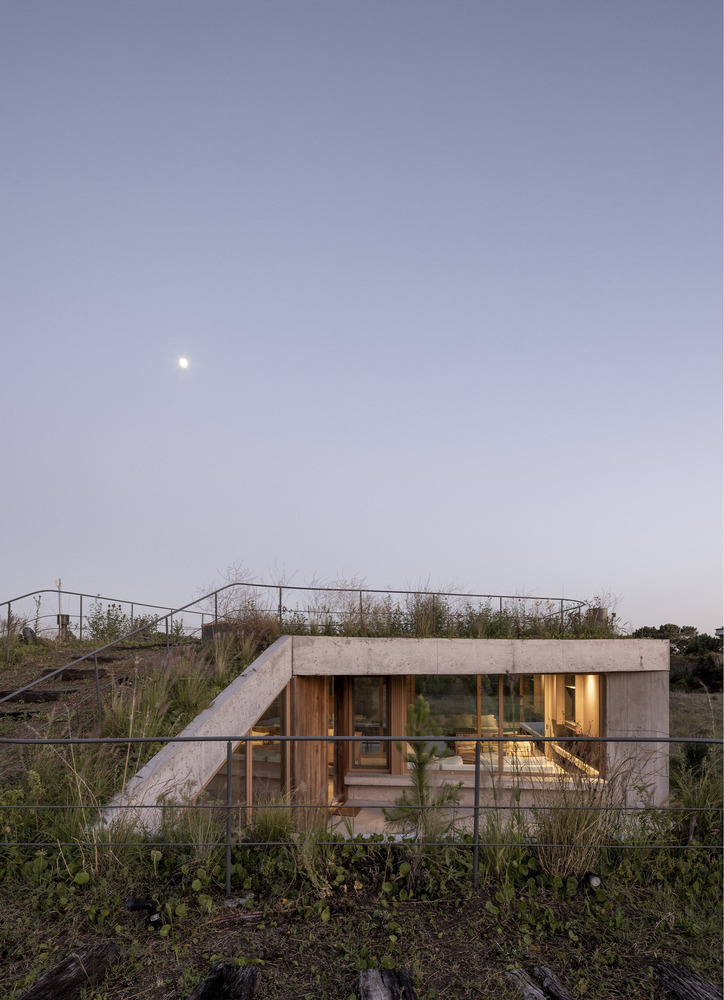 Coastal Dune House Design: Integrating Architecture with Nature ...