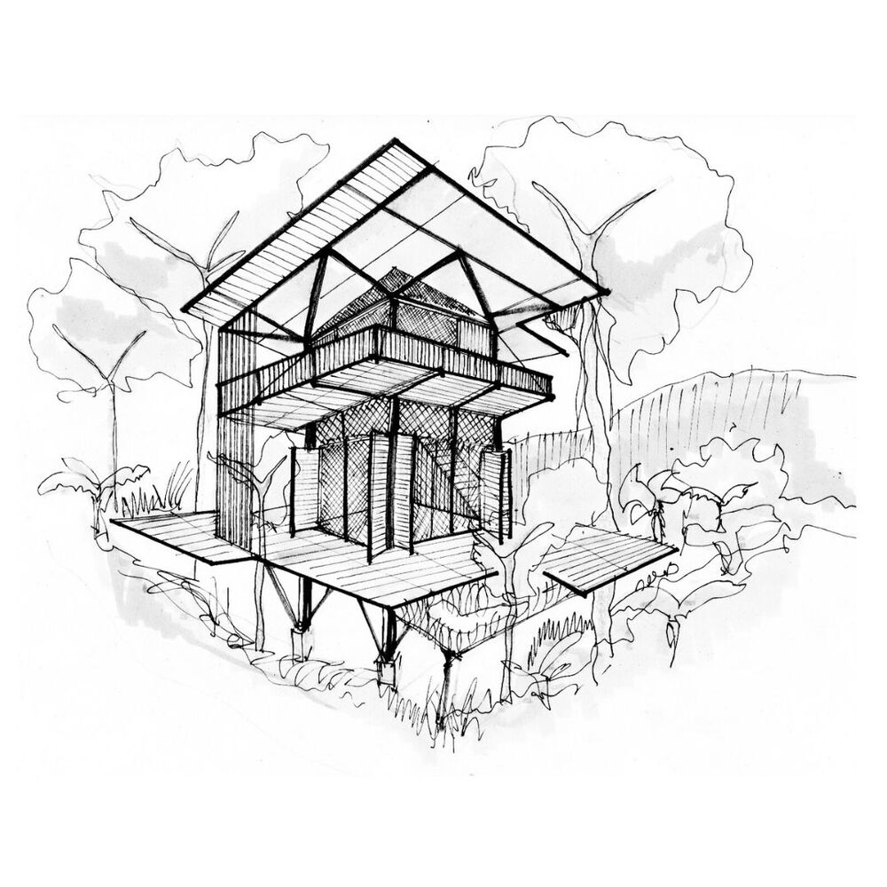 Eco-Friendly Tree House Design: Harmony with Nature | Architecture Story