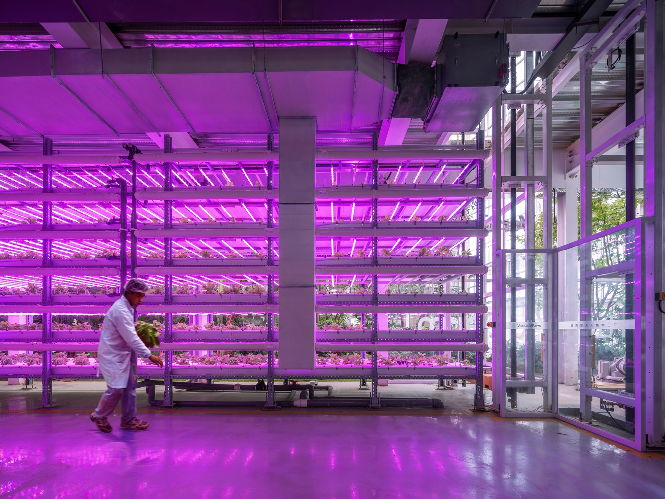 Vertical Farming Architecture: The Future of Urban Agriculture ...