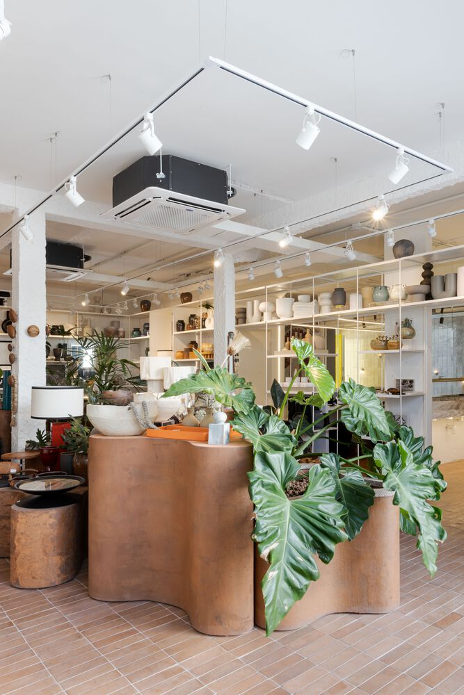 Innovative Retail Design: Unveiling Atelier Colormix by Basiches ...