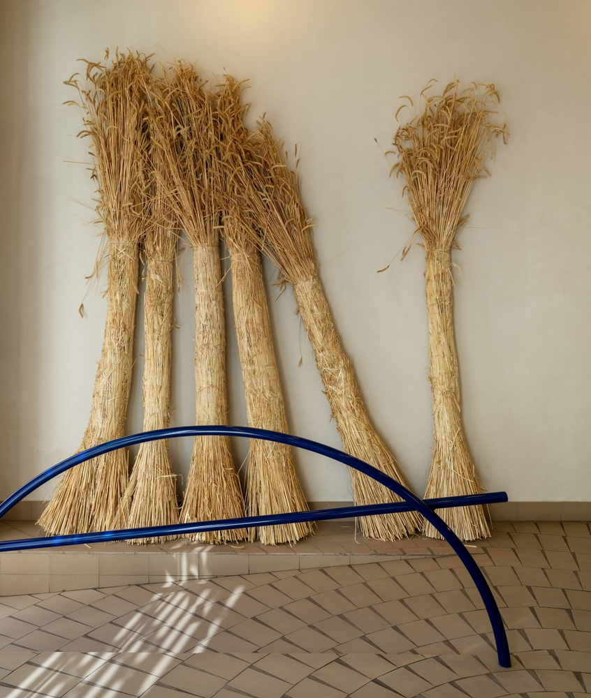 Modern Bakery Design: A Case Study of Javier Moreno Bakery by Laura ...