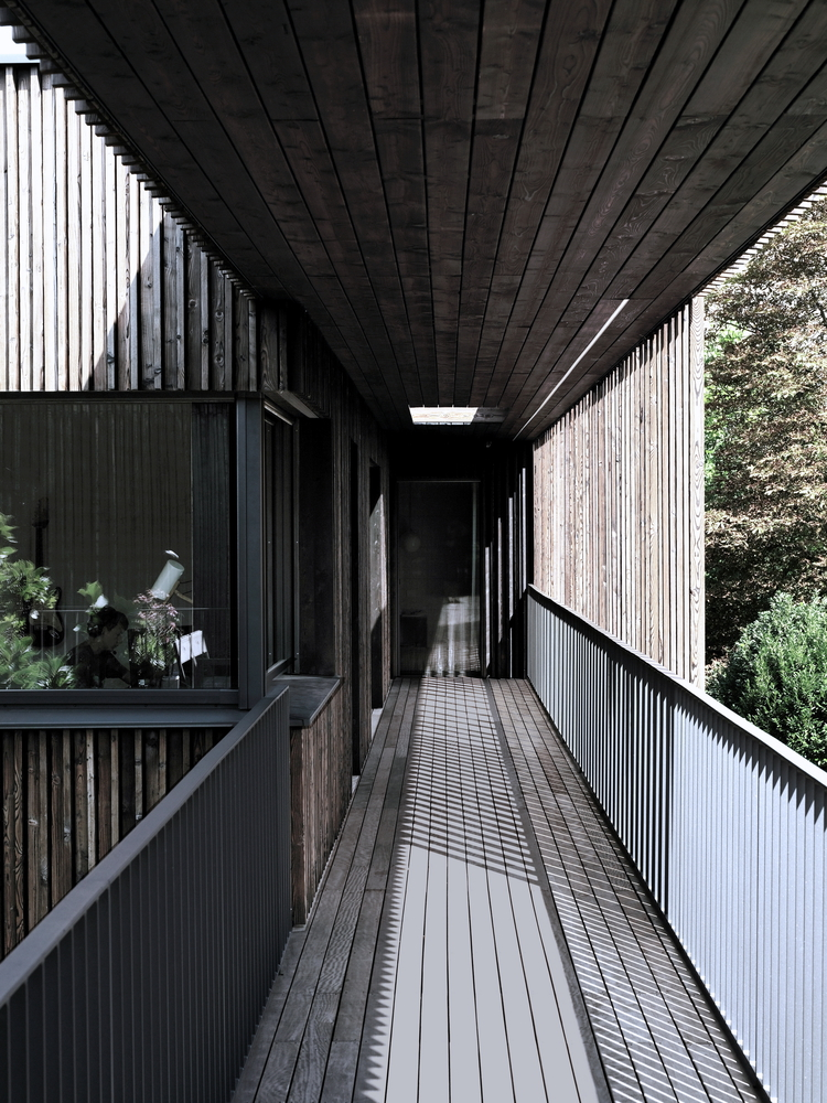 Sustainable Wooden Houses: A Deep Dive into Catwalk House by OFIS ...